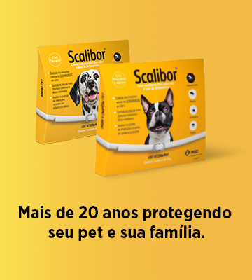 Início Scalibor.com.br
