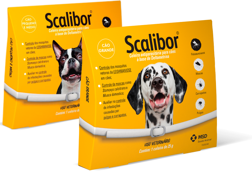 Início Scalibor.com.br