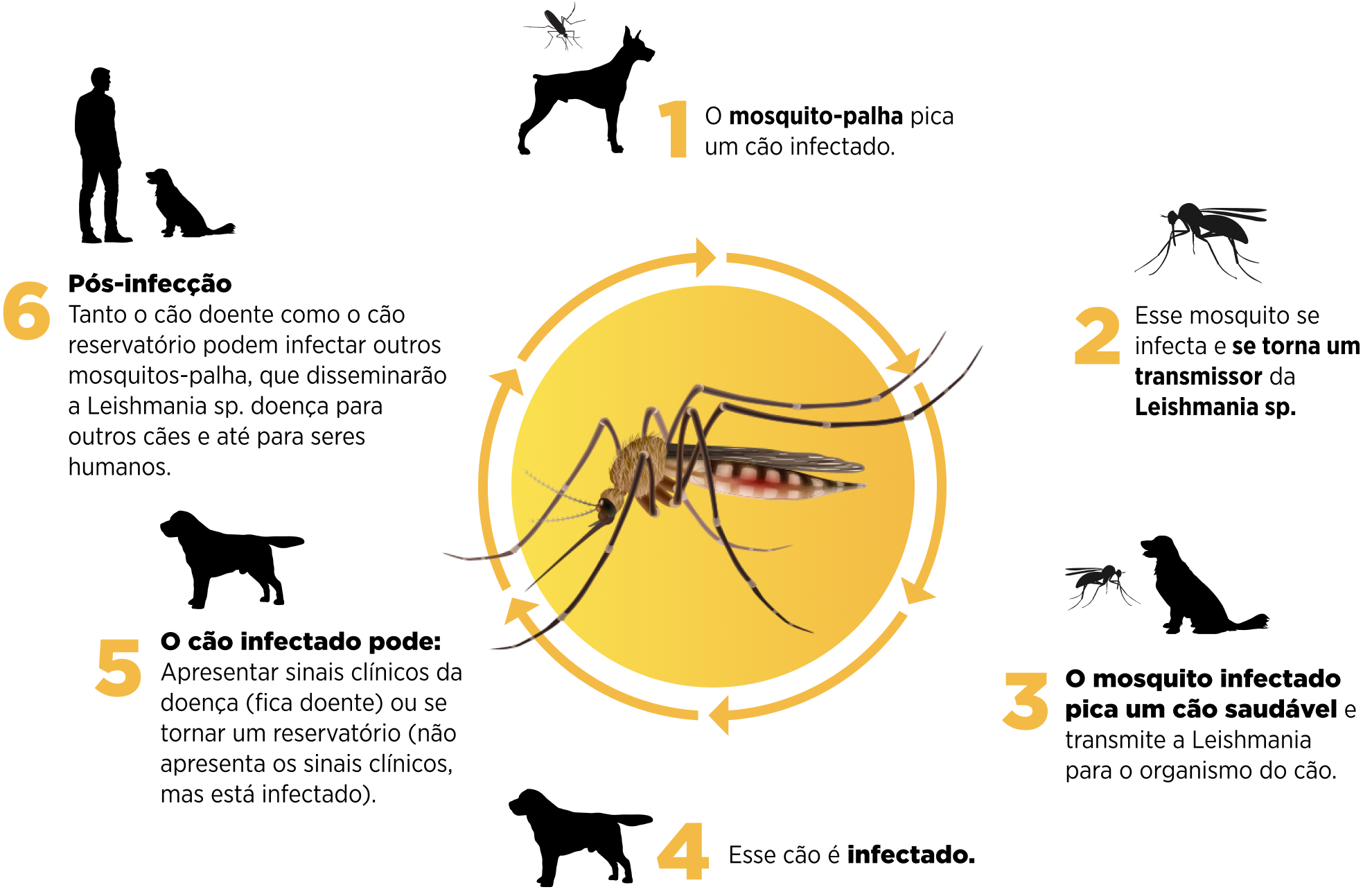 Início Scalibor.com.br